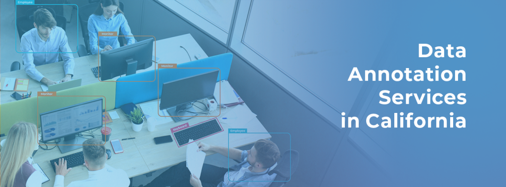 Transform Your AI with Expert Data Annotation Services